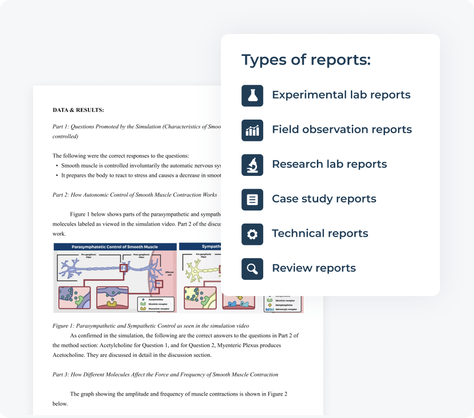 Cheap Research Paper Writing Service: A+ Quality at Fair Price